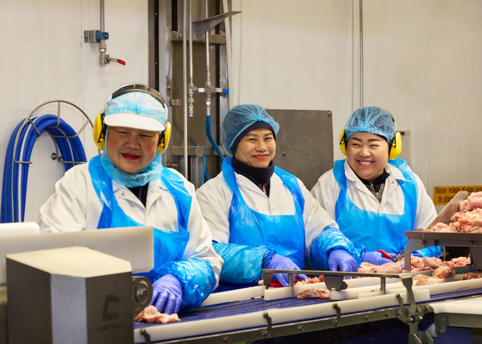 Career | Scandi Standard